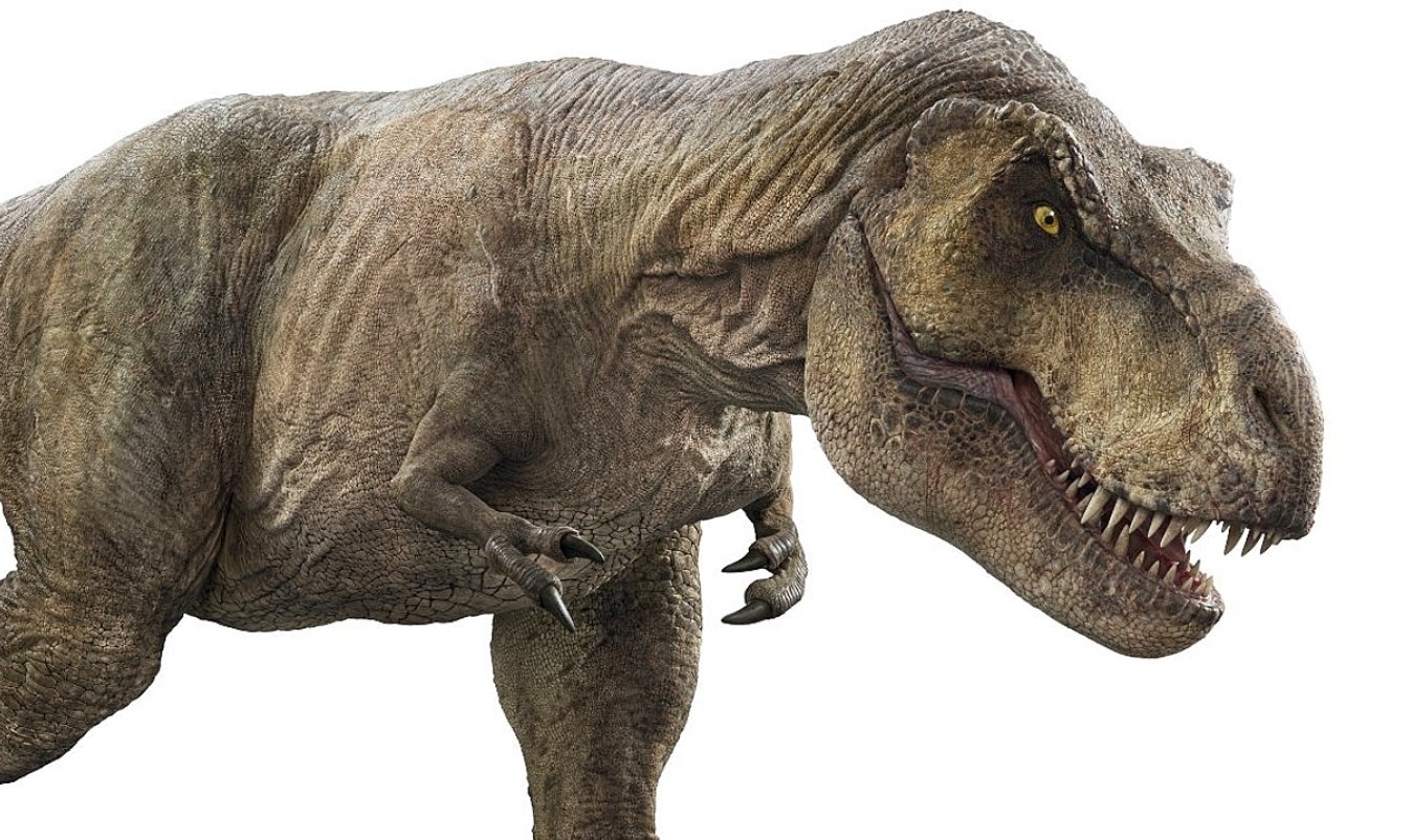 Rexy 2022 | Frontier Forums Rexy 2022 | Frontier Forums